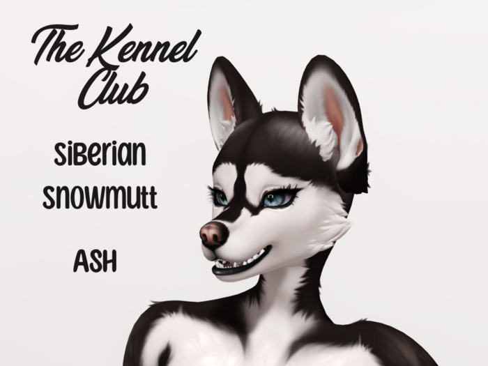 Second Life Marketplace - TKC - Siberian Snowmutt Ash